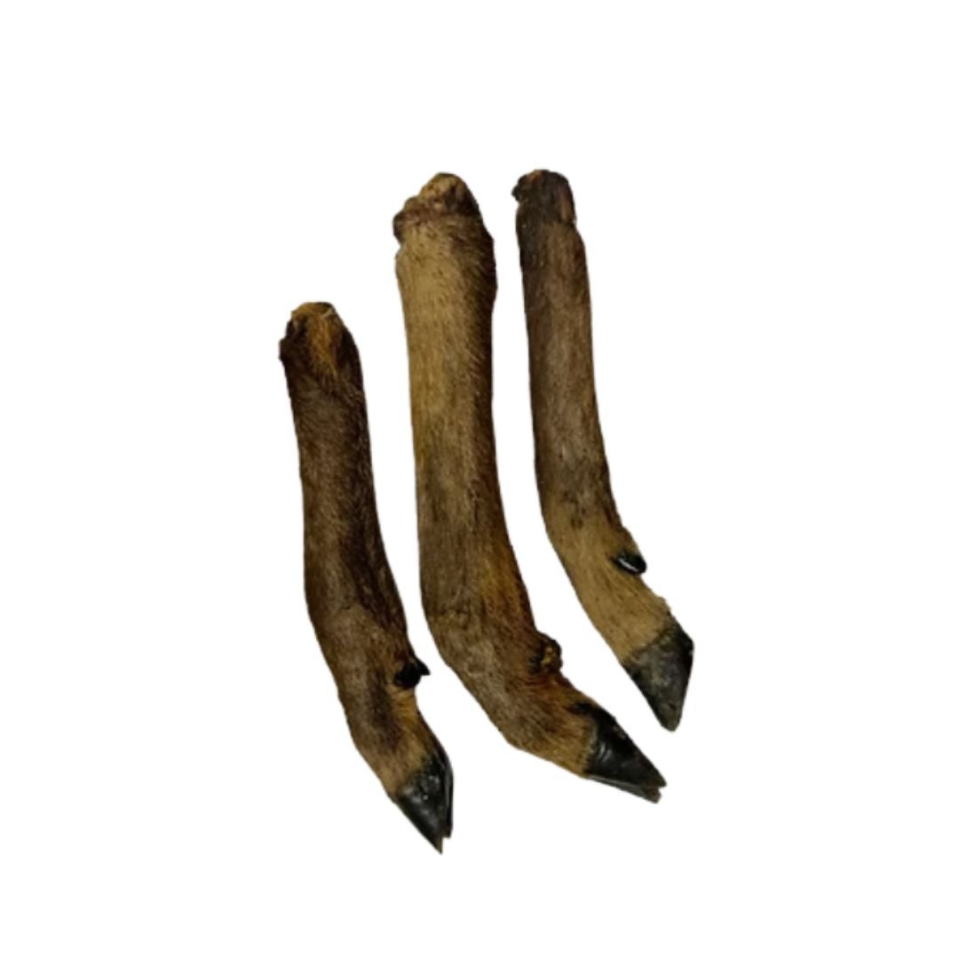 Venison Leg Bone with Fur Dog Treats | Dog Town Pet Supplies