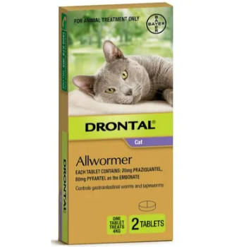 Drontal Cat Small 4kg Worming Tablets 2pk | Dog Town Pet Supplies
